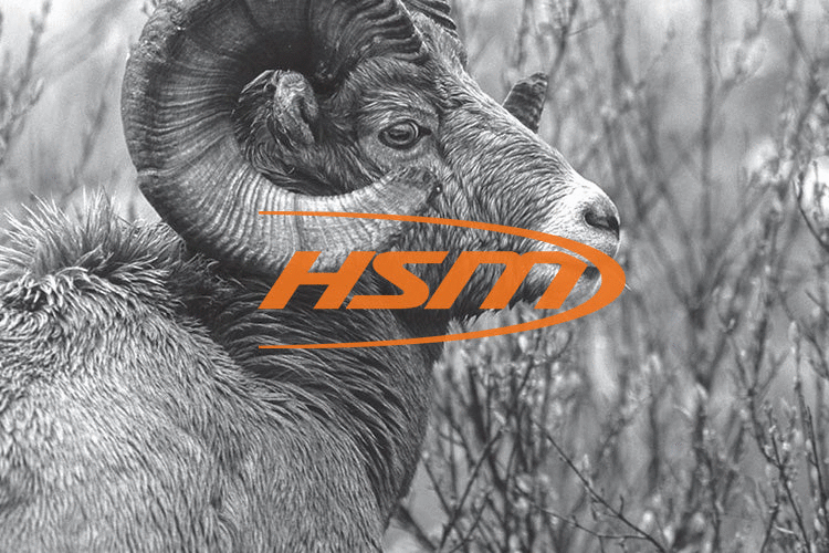 HSM Merchandise for Sale | HSM – HSM Ammunition
